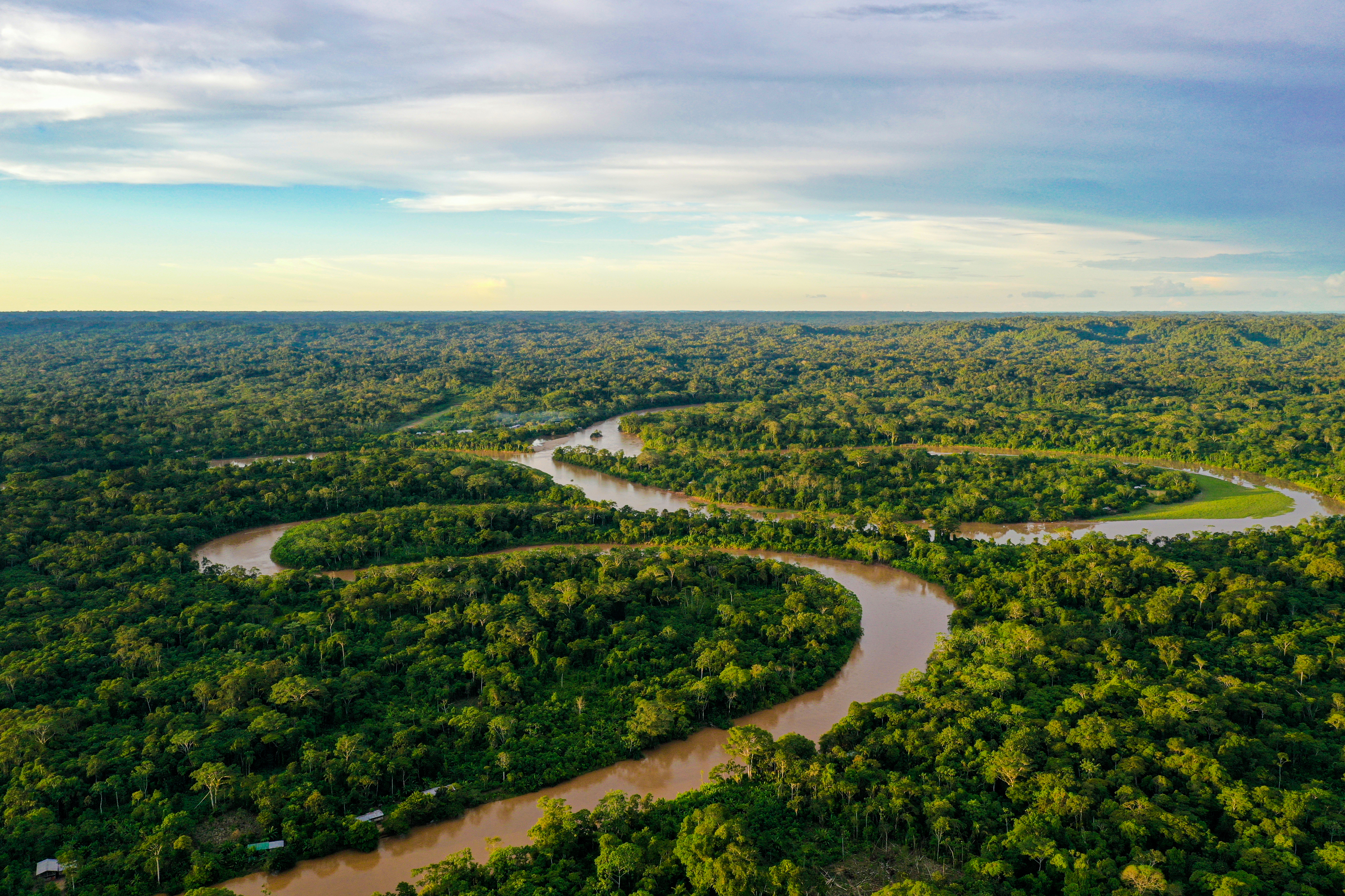 The 10 Biggest Rainforests in the World