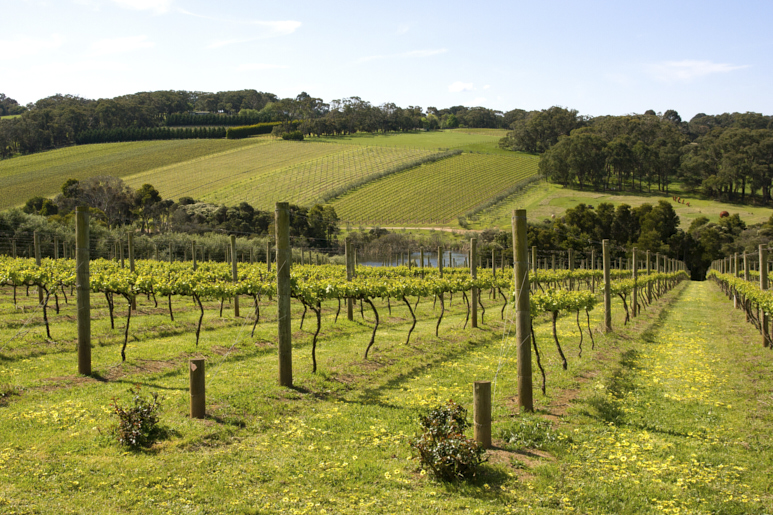 8 Best Weekend Getaways From Melbourne For Every Traveler