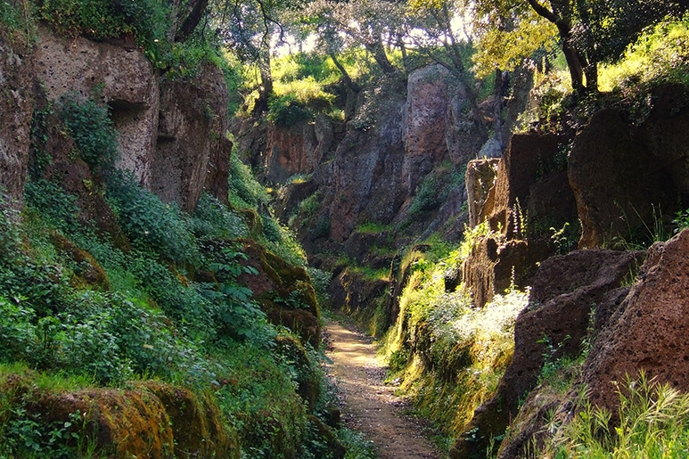5 Best Hikes Near Rome: Ultimate Trail Guide