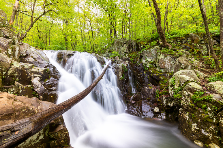 Descubra a melhor época para visitar o Parque Nacional de Shenandoah