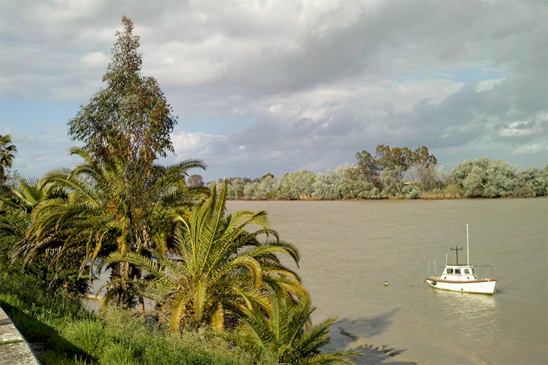 5 Best Hikes In Seville: Ultimate Trail Guide