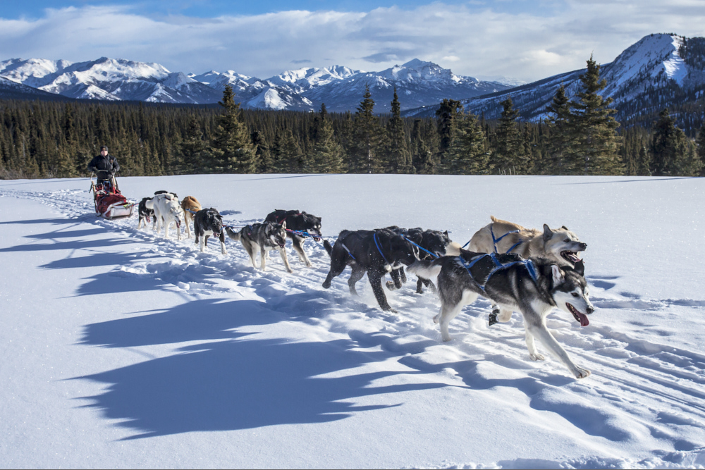 10 Best Winter Activities To Enjoy In The US