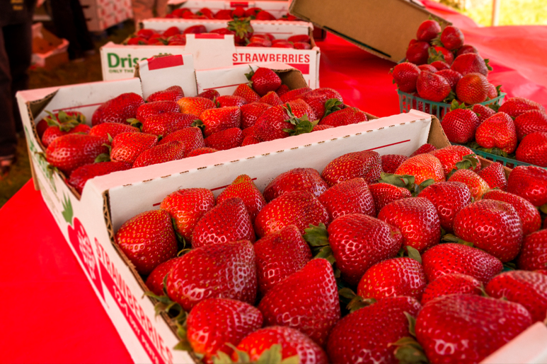 Best Places to Visit in Spring in Pennsylvania