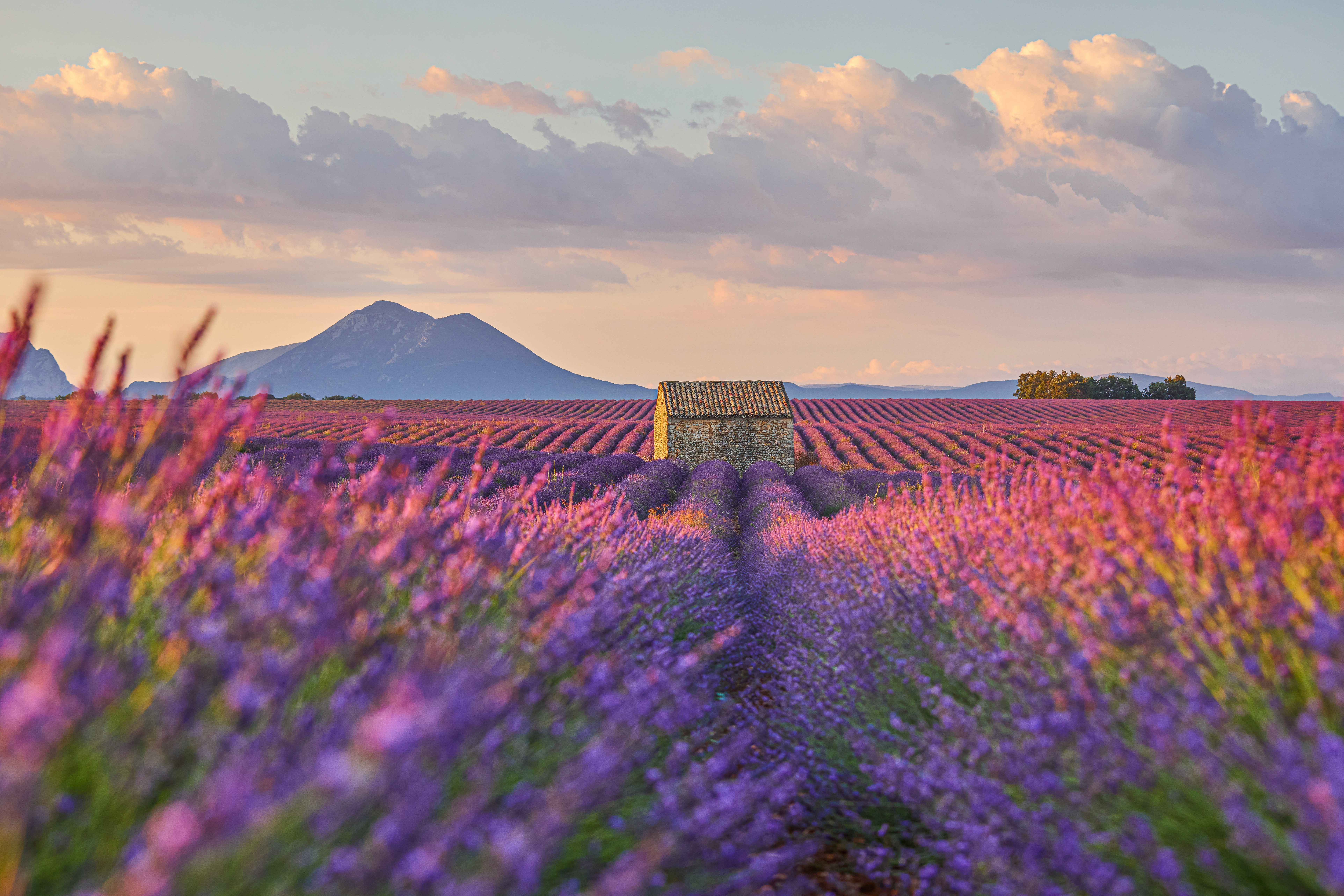 The Best Places to Visit in Europe in Spring