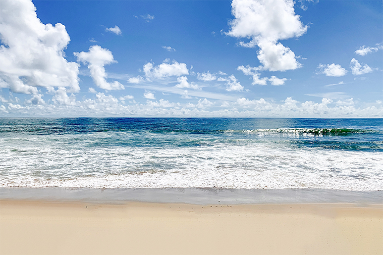 8 Best Places To Visit in Chennai All Year Round