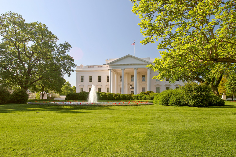 The Ultimate Guide to Your First Time in Washington, DC