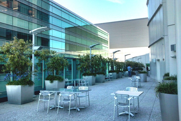 8 Spots With the Best Views in San Francisco Revealed