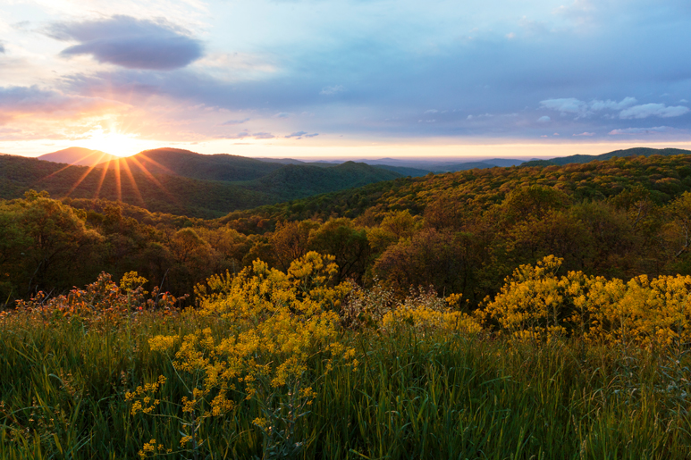 Descubra a melhor época para visitar o Parque Nacional de Shenandoah