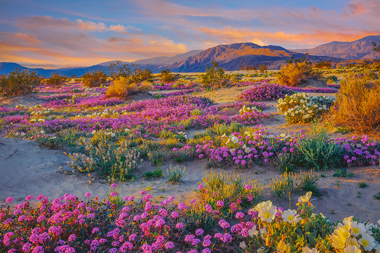 April Travel USA: The Top 10 Things To Do in the US in April