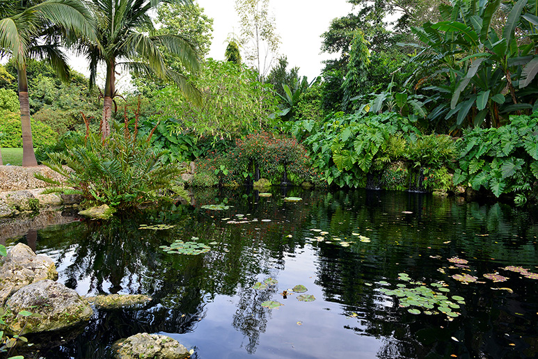 9 Exciting Things To Do in Summer in Florida