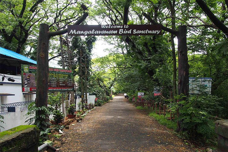 10 Best Places To Visit in Kochi For Every Traveler