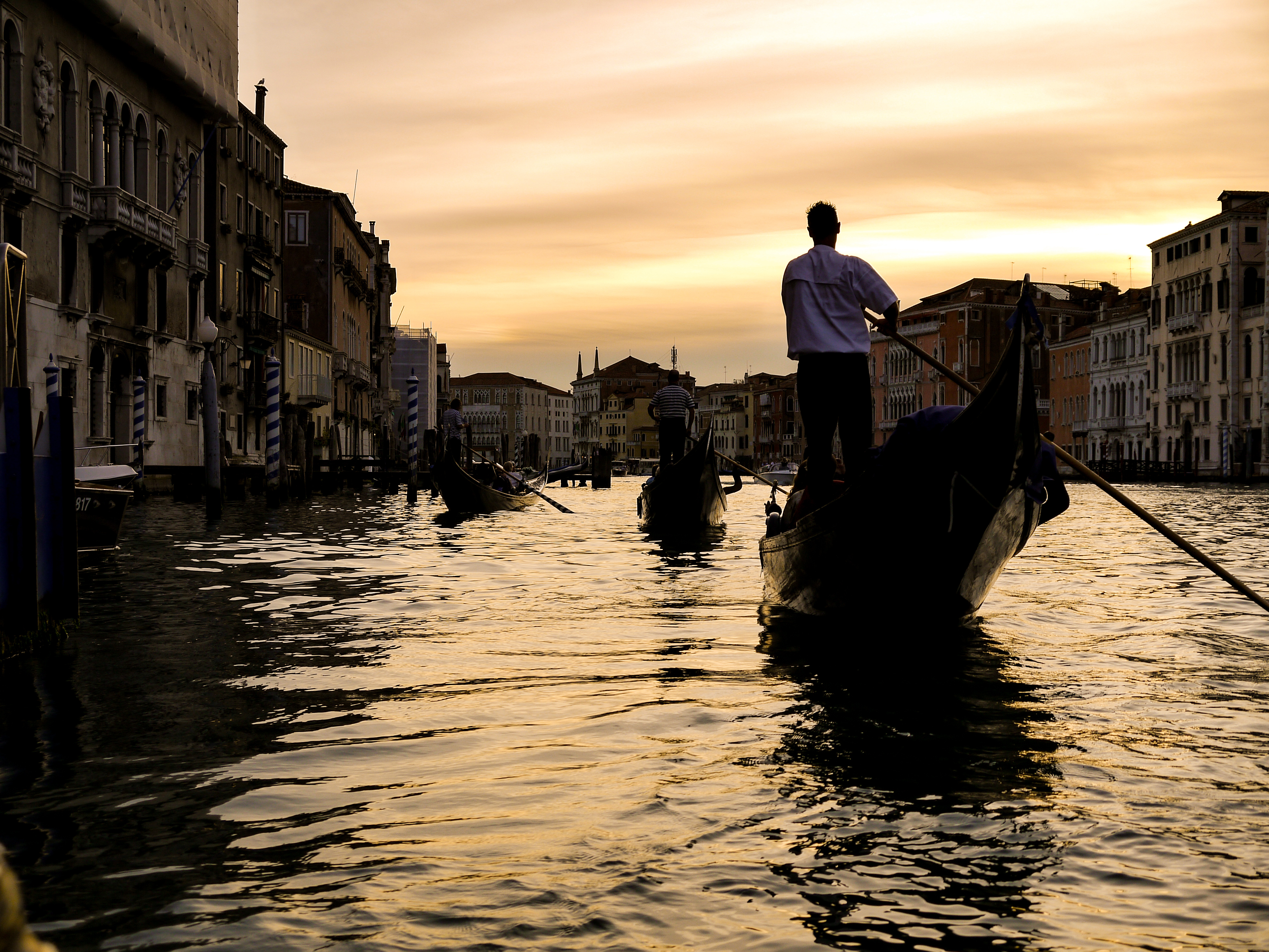 8 Venice Activities and Attractions To Book in Advance