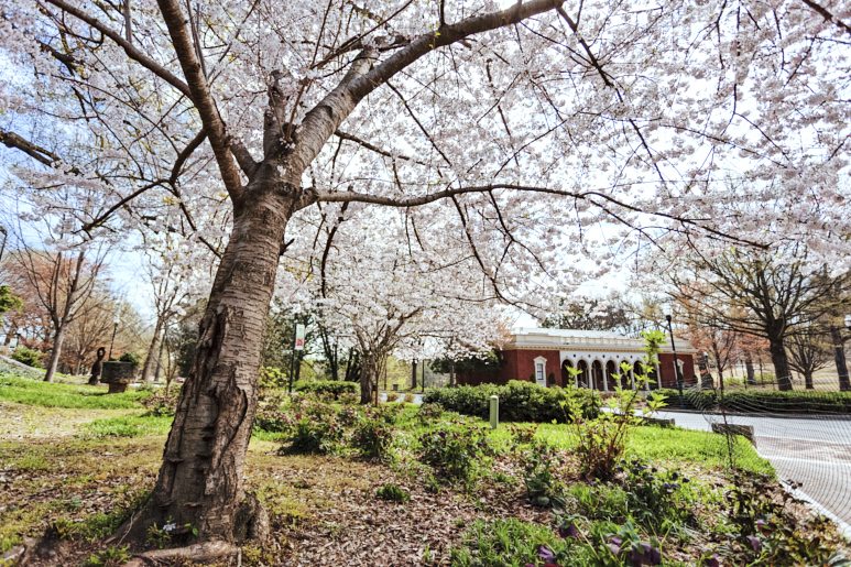 8 Ways To Celebrate Easter in Atlanta