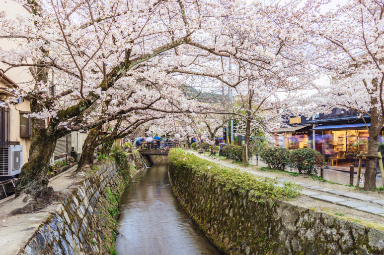 8 Unmissable Bucket List Things To Do In Japan