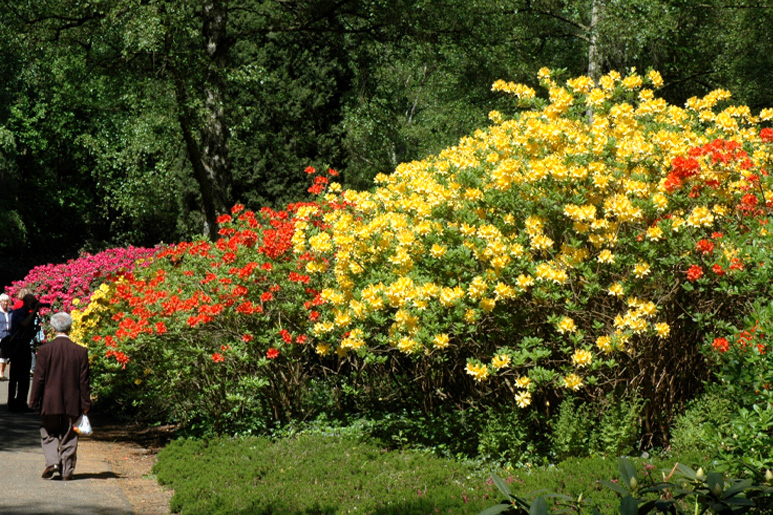 10 Best Gardens in Amsterdam for Nature & Tranquility