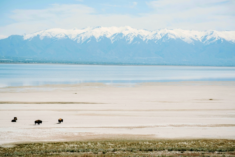 Summer in Utah: Top 10 Places and Activities