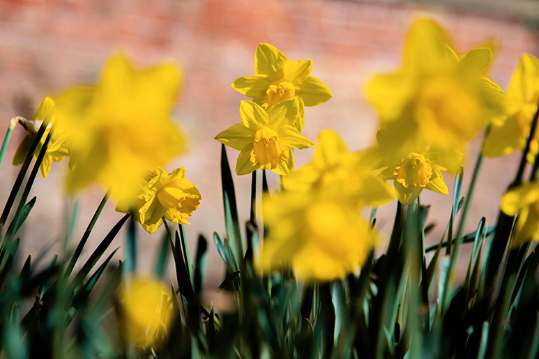8 Epic Things To Do During Spring In Tennessee