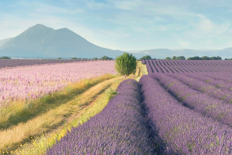 Best Things to Do in Europe in June