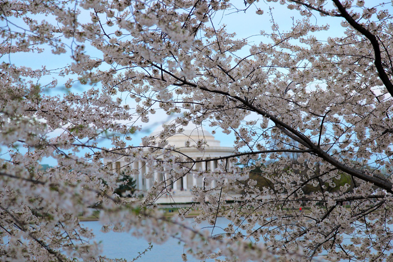 10 Best Things To Do in the US in March Revealed
