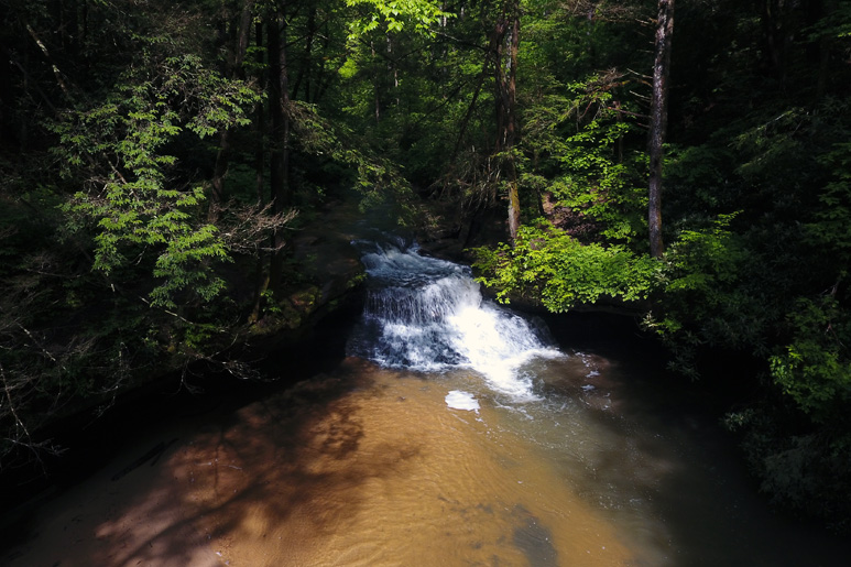 Spring in Kentucky: Best Things To See and Do