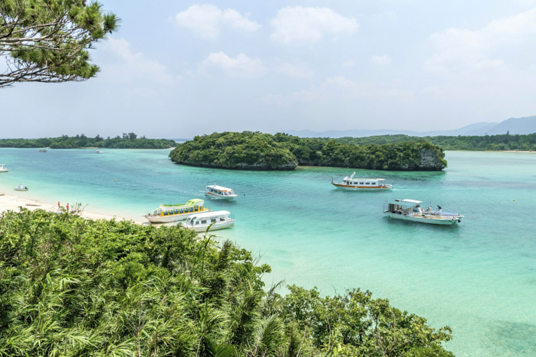 8 Best Islands in Japan for a Unique Getaway