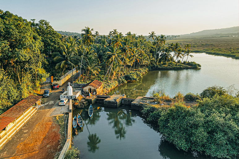 9 Fun Things To Do in Goa For Every Traveler