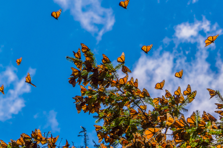 11 Best Things to Do in the US in September