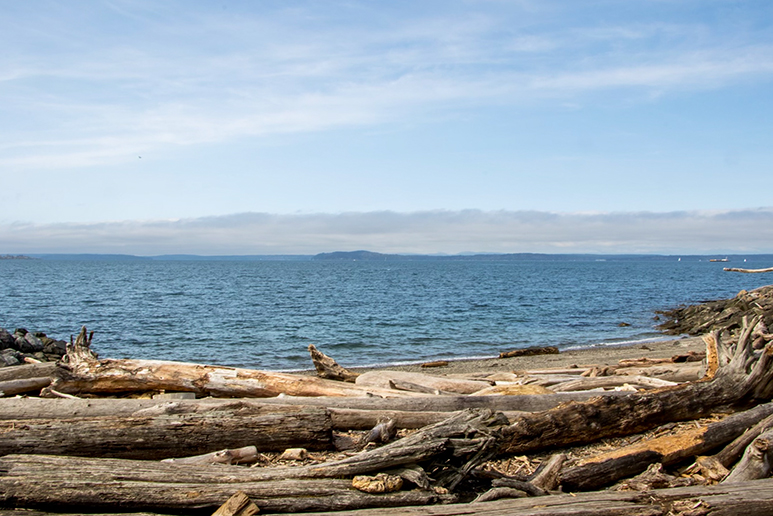 The 7 Best Beaches in Seattle