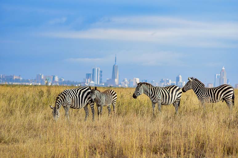 10 Most Fun Things to Do in Nairobi