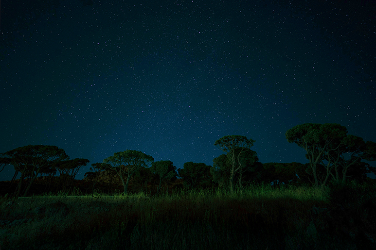 Best Time To Visit Everglades National Park: Detailed Guide