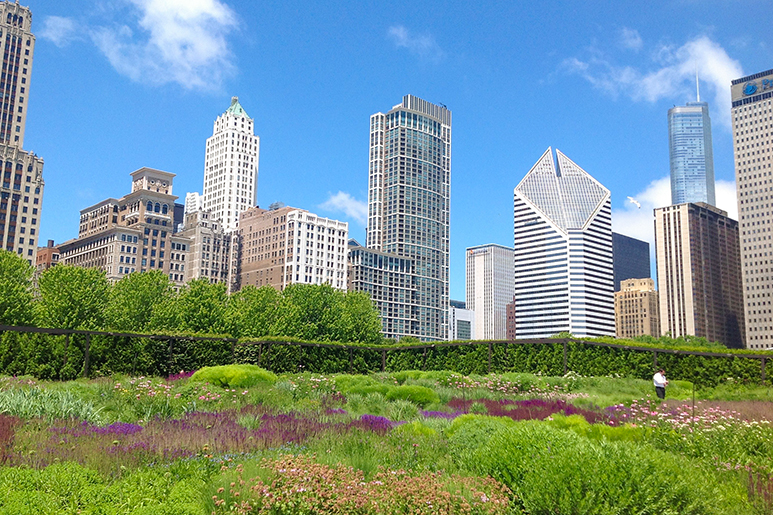 8 of the Best Views in Chicago and Where To Find Them