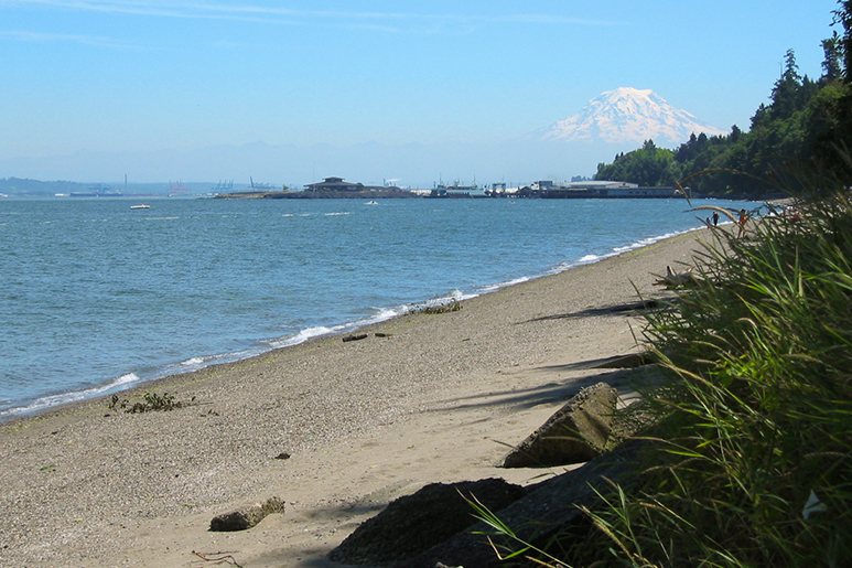 The 7 Best Beaches in Seattle