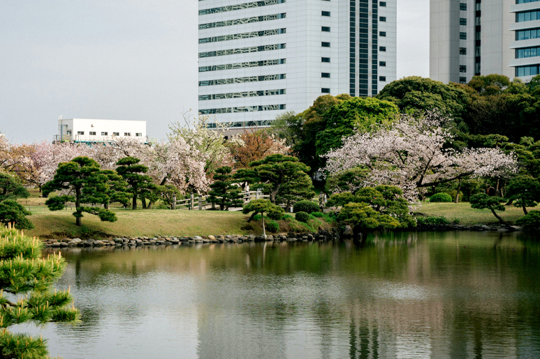 8 Spots with the Best Views in Tokyo Revealed
