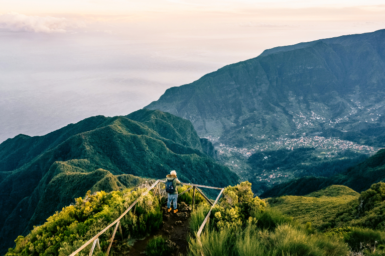 Madeira in Winter: What To See and Do