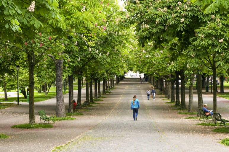 Top 12 Things To Do in Geneva With Kids and Teens