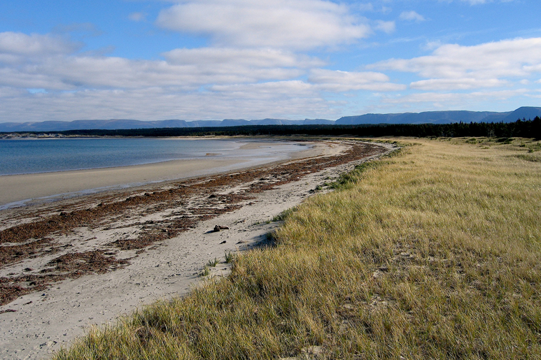 Best Beaches in Canada: A Complete Guide