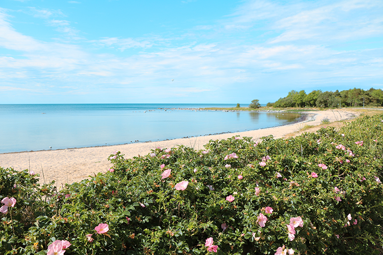 7 Best Beaches in Sweden: A Complete Guide