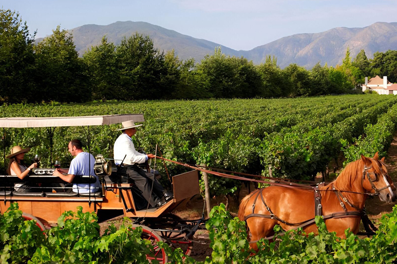 Best Time To Visit Chile: A Month-By-Month Guide