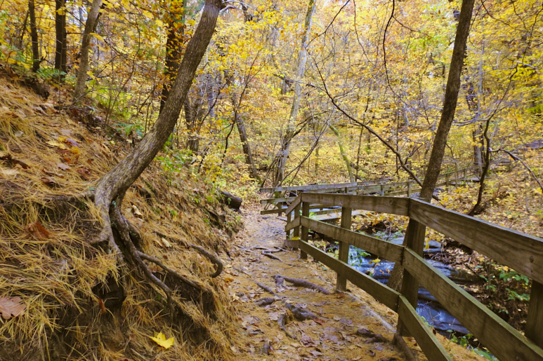 Fall in Illinois: What To See and Do
