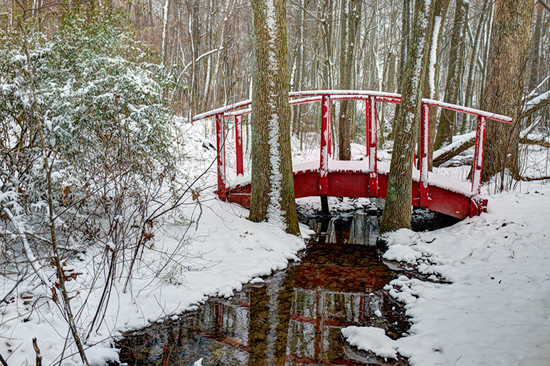 Winter in Alabama: The 8 Best Places To Visit