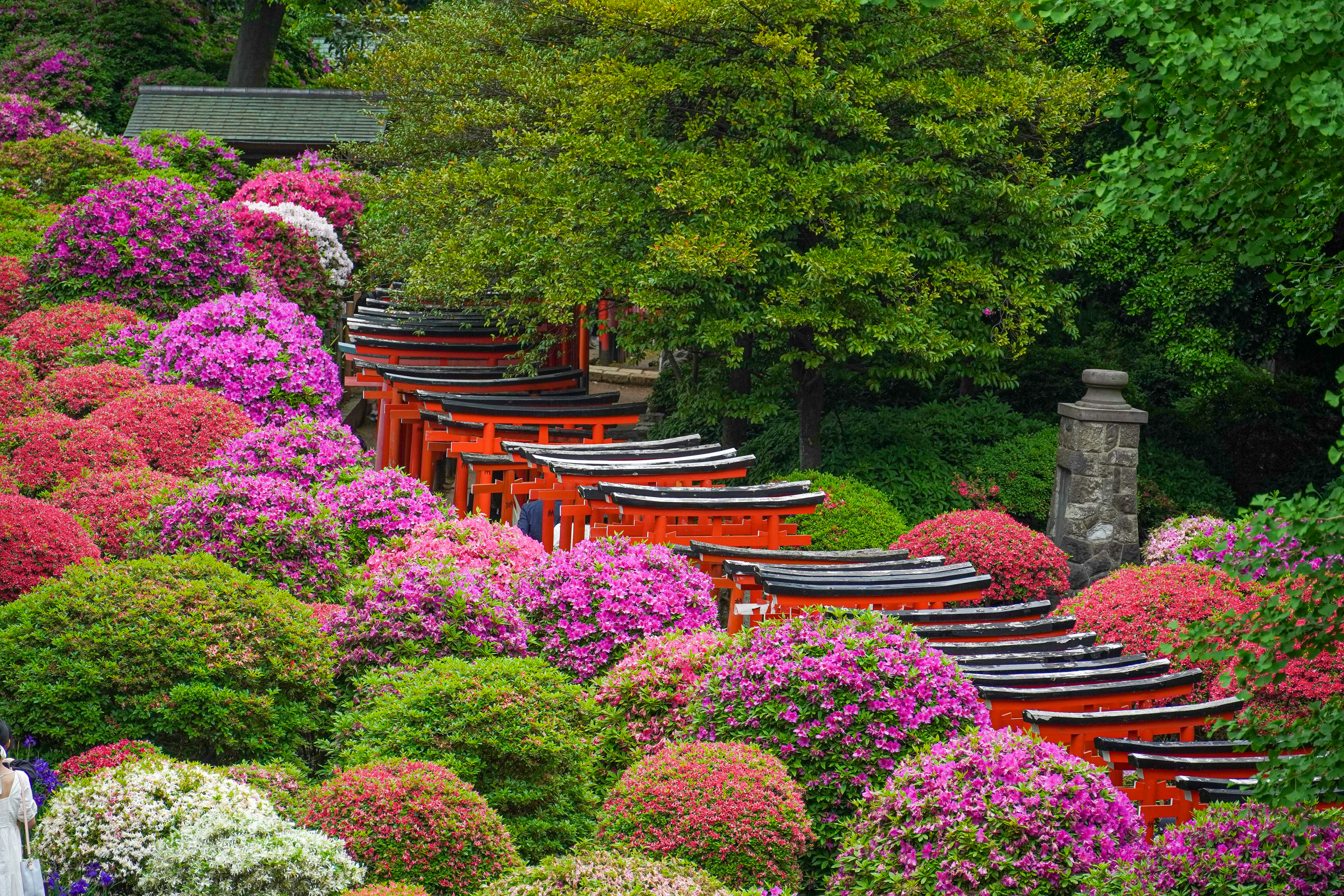 7 Non-Touristy Things To Do in Tokyo Worth the Detour