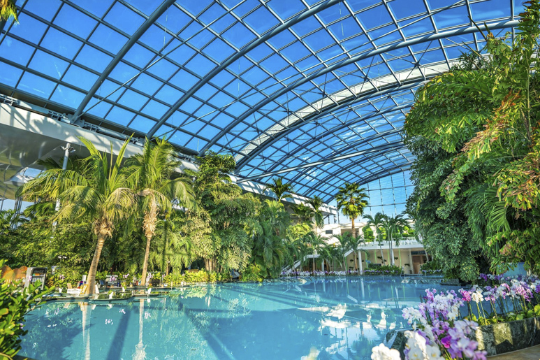 11 Unique and Fun Things to Do in Bucharest