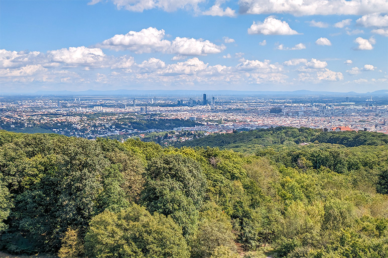 Hiking in Vienna: 5 Spectacular Trails