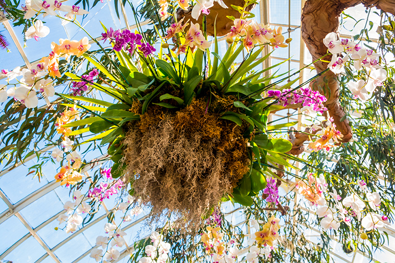 The Ultimate Guide to Spring in New York City