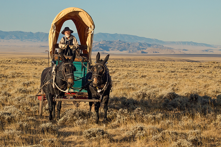 Spring in Wyoming: 8 Best Places To Visit