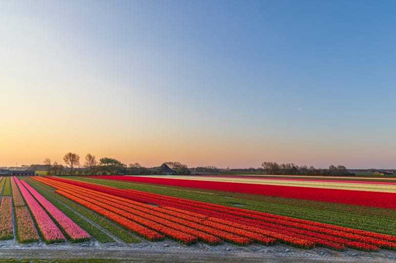 18 most beautiful places in the Netherlands you need to see