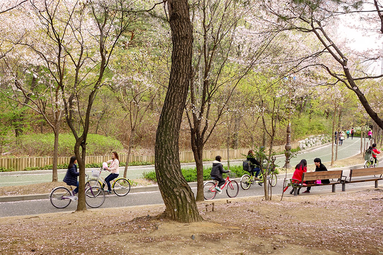 Best Way to Get Around Seoul: Everything You Need To Know