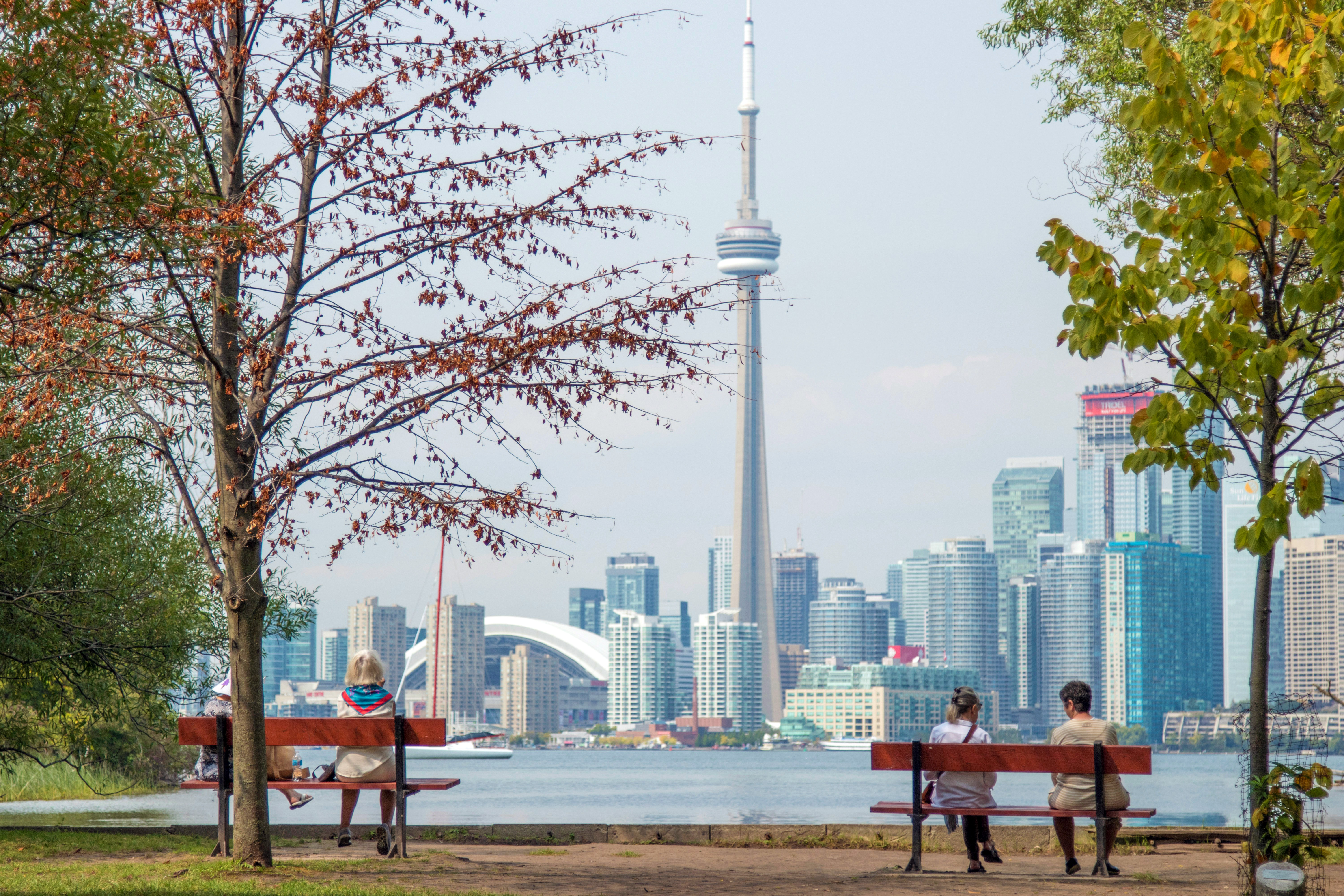 8 of the Best Views in Toronto and Where To Find Them