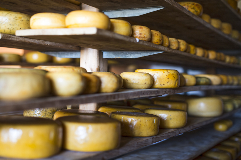 The Best Food in Rotterdam: 10 Local Dishes To Devour