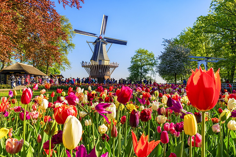 The Best Time To Visit Amsterdam: Your Month-by-Month Guide